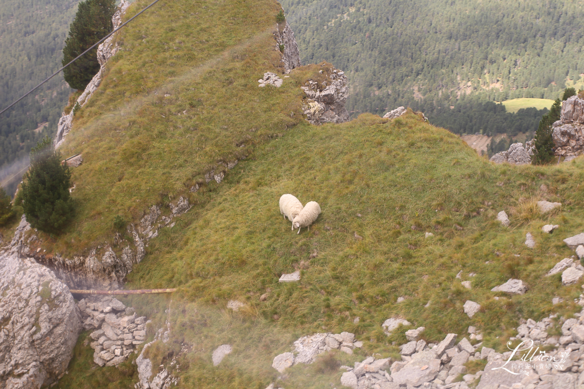 【義大利多洛米蒂Dolomiti自由行】Funivie Seceda Spa纜車(Ortisei-Furnes-Seceda)｜從 ...